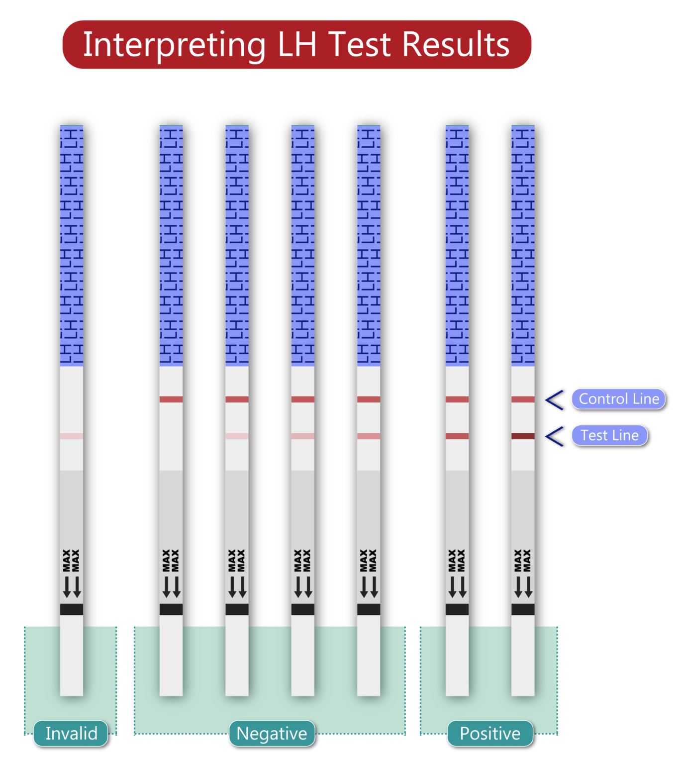 Optional: LH Testing – Fertility Charting